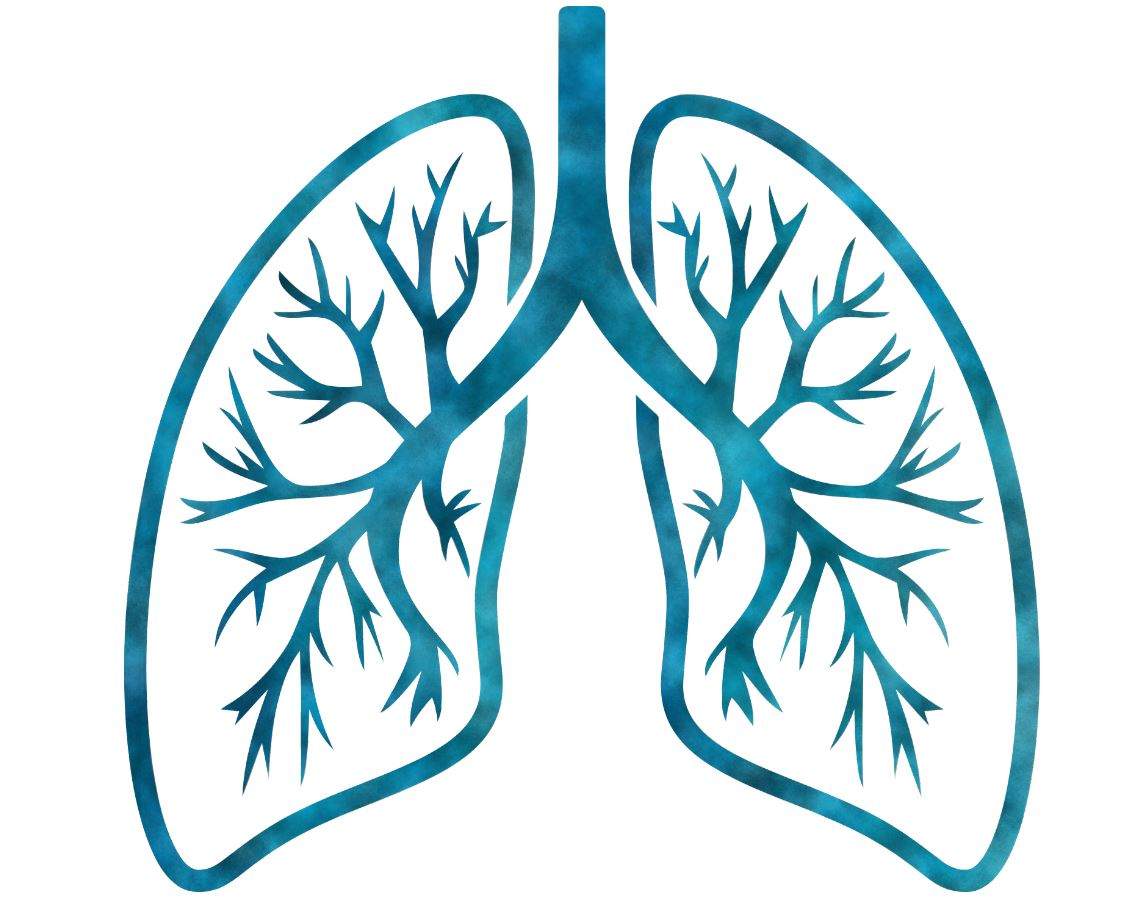 Online Pulmonologist Consultation | Pulmonologist Doctors | Medifyhome