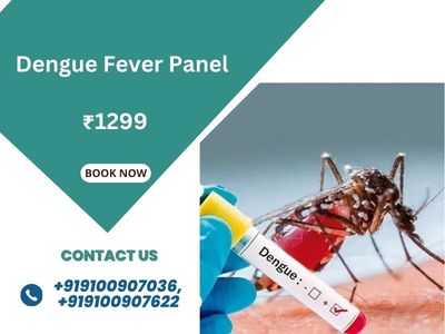 Dengue Fever Panel Test | Medifyhome