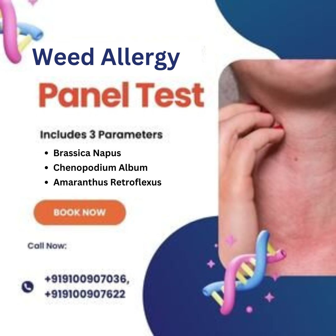 Weed Allergy Test Panel | Rs @1899 | MedifyHome