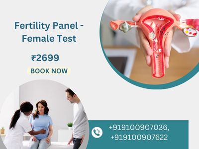 Fertility Panel - Female Test | Medifyhome