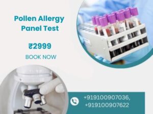 Pollen Allergy Panel Test | MedifyHome