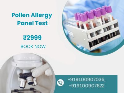 Pollen Allergy Panel Test | MedifyHome