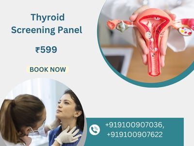 Thyroid Screening Panel | MedifyHome