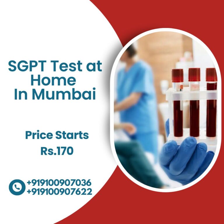 SGPT Test in Mumbai | Medifyhome