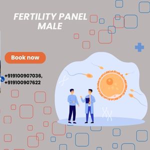 Fertility Panel - Male | Medifyhome