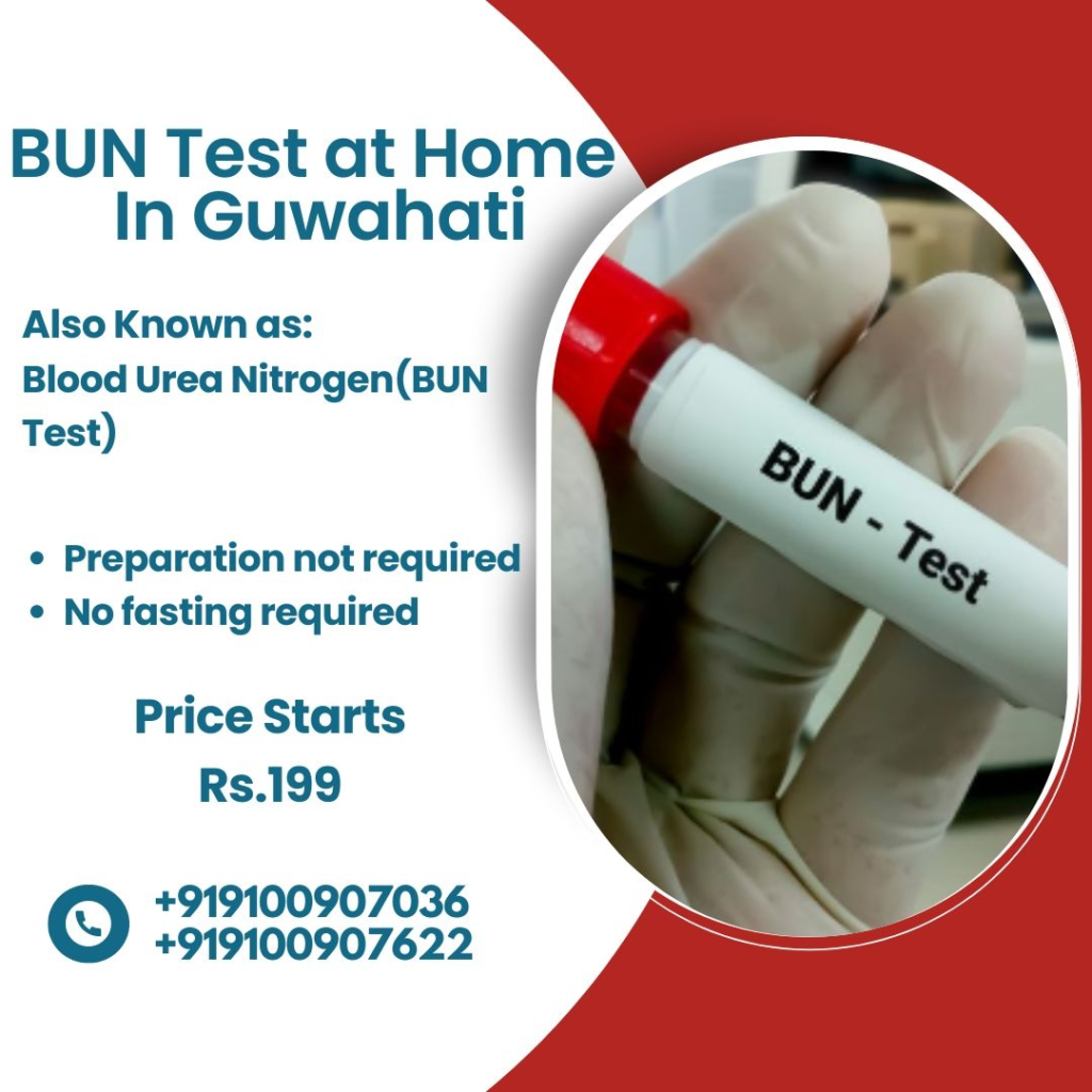 BUN Test In Guwahati | Medifyhome